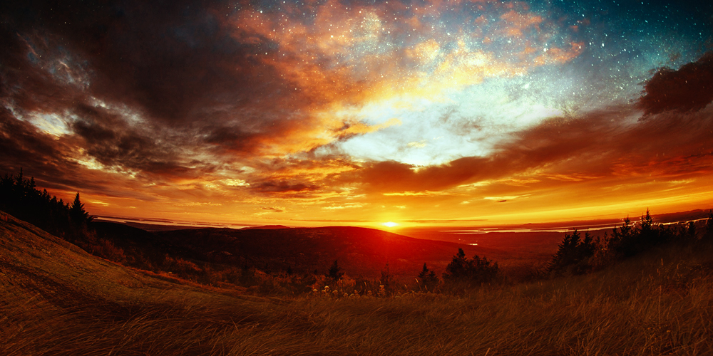 step-016a » Shift Art