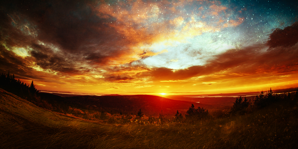 step-019a » Shift Art