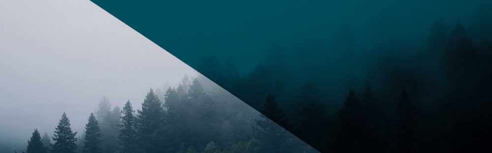 turn-day-night-header-image » Shift Art